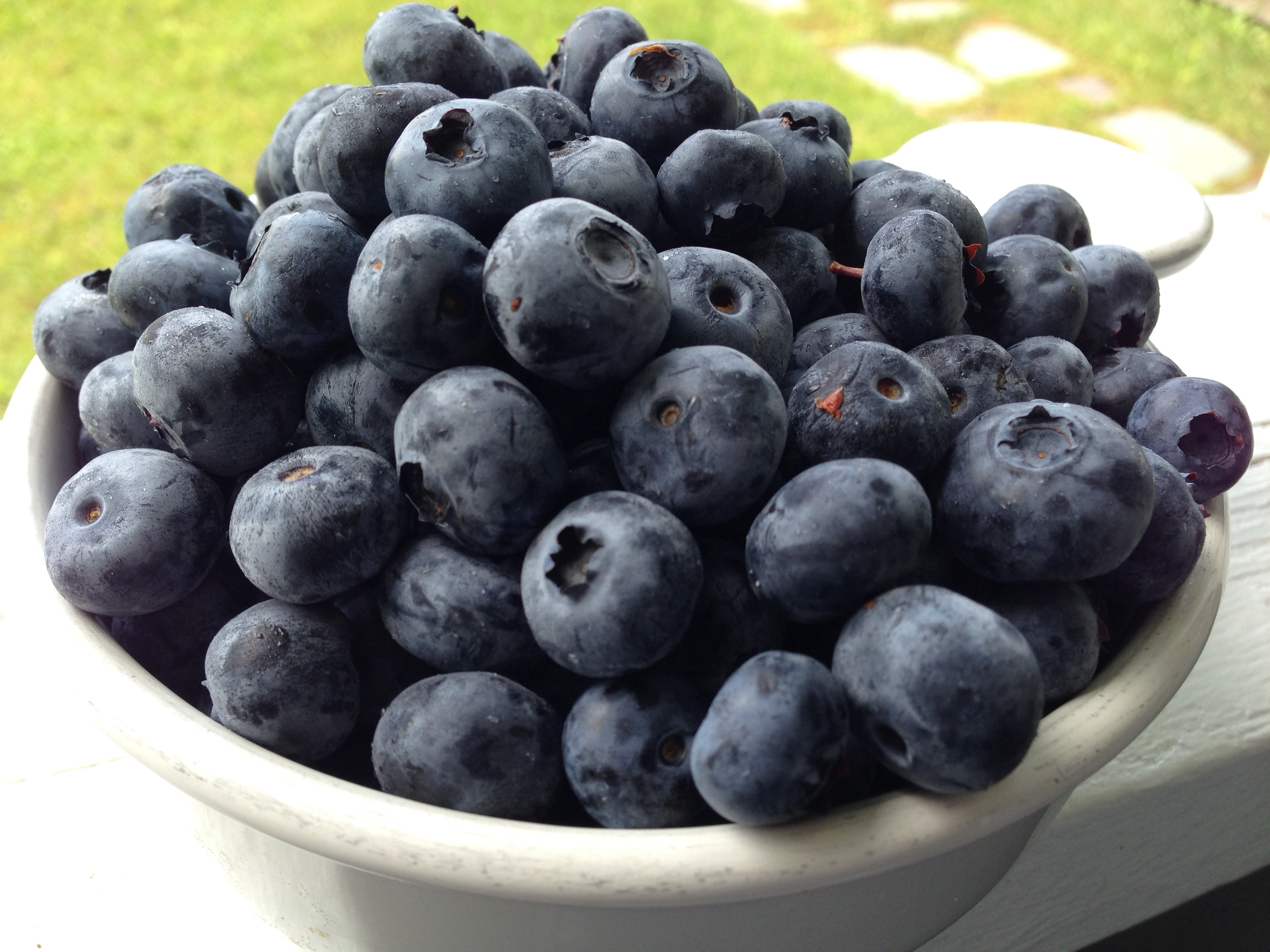 The Best Blueberry Cake I Ever Ate Catching Health With Diane Atwood