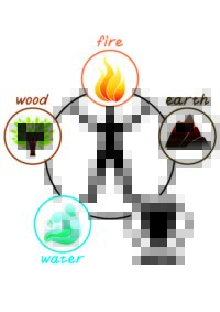 Classical Five-Element Acupuncture | Catching Health with Diane Atwood