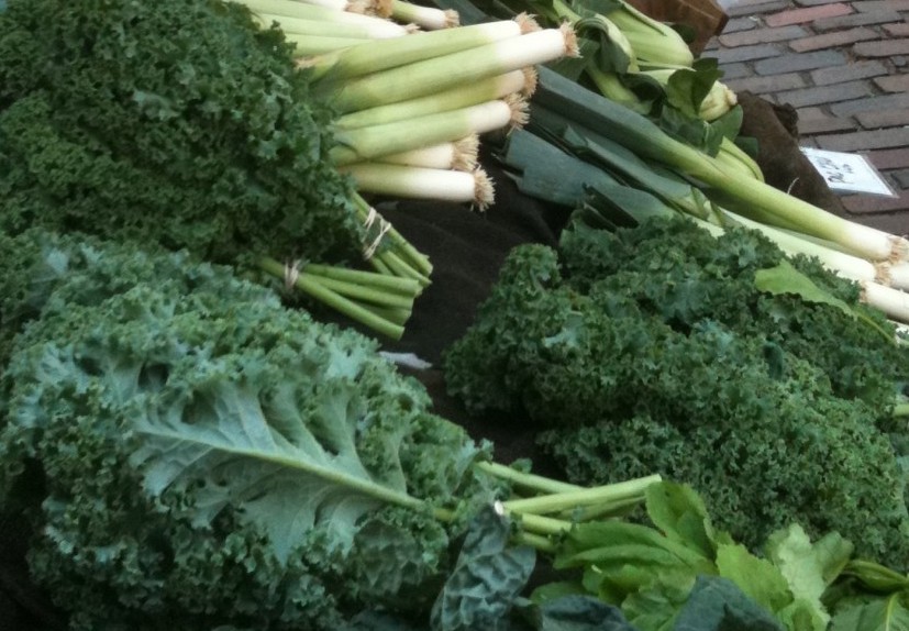Enjoying Maine’s fabulous produce — safely – Catching Health with Diane ...